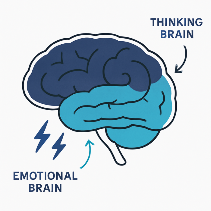 Emotions vs Feelings: Key Differences & Why They Matter | Therapy Central